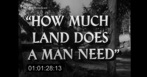 How Much Land Does a Man Need?